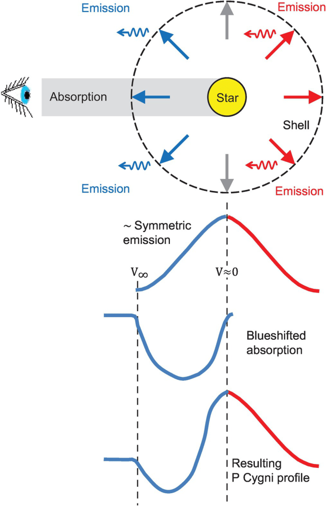 Exploring Stellar Winds: The Case of P Cygni – Khanh's Gallery